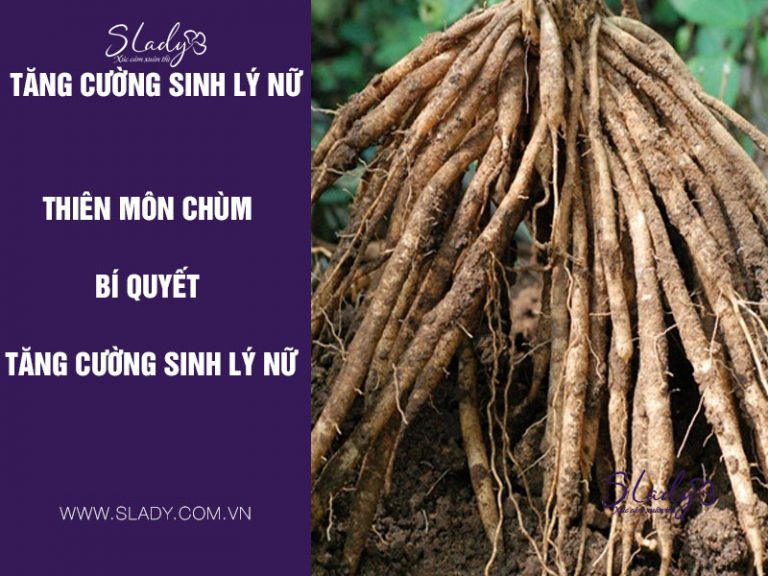 Bí quyết tăng cường sinh lý nữ từ cây thiên môn chùm
